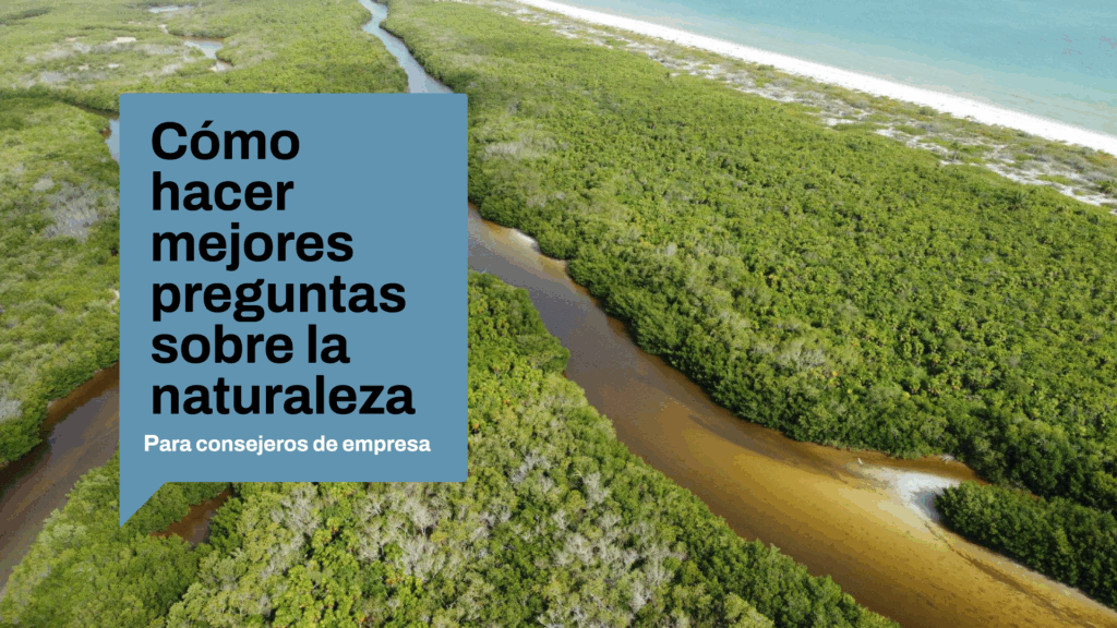 Por qué es crucial que los consejeros hagan mejores preguntas sobre la ...